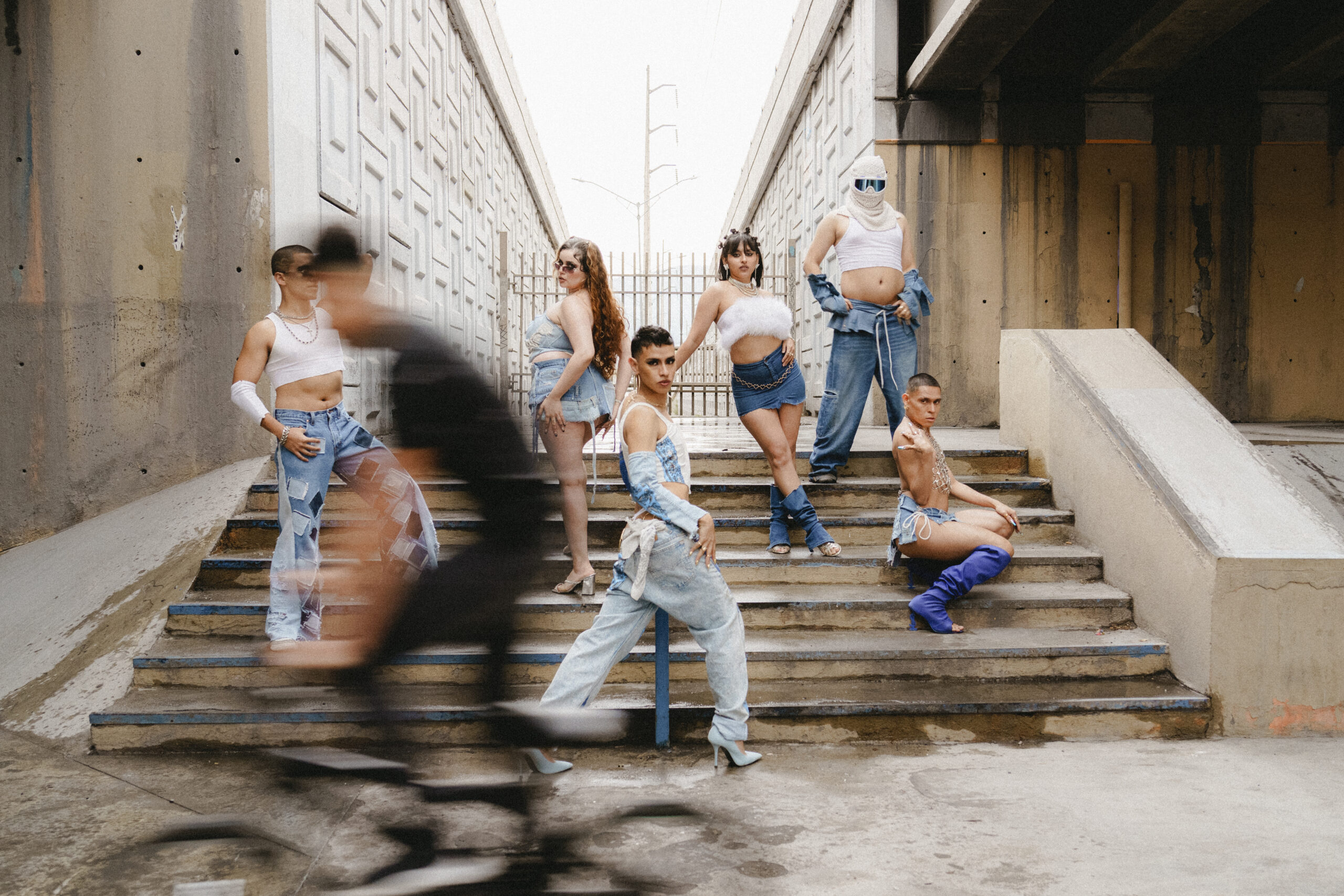 GENESIS. - Maple Space