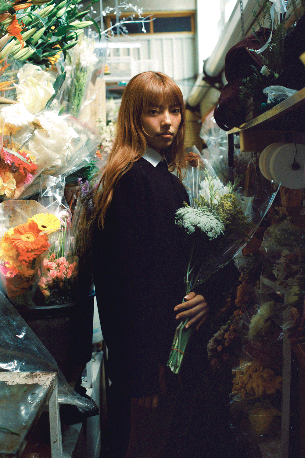 FLORA. - Maple Space