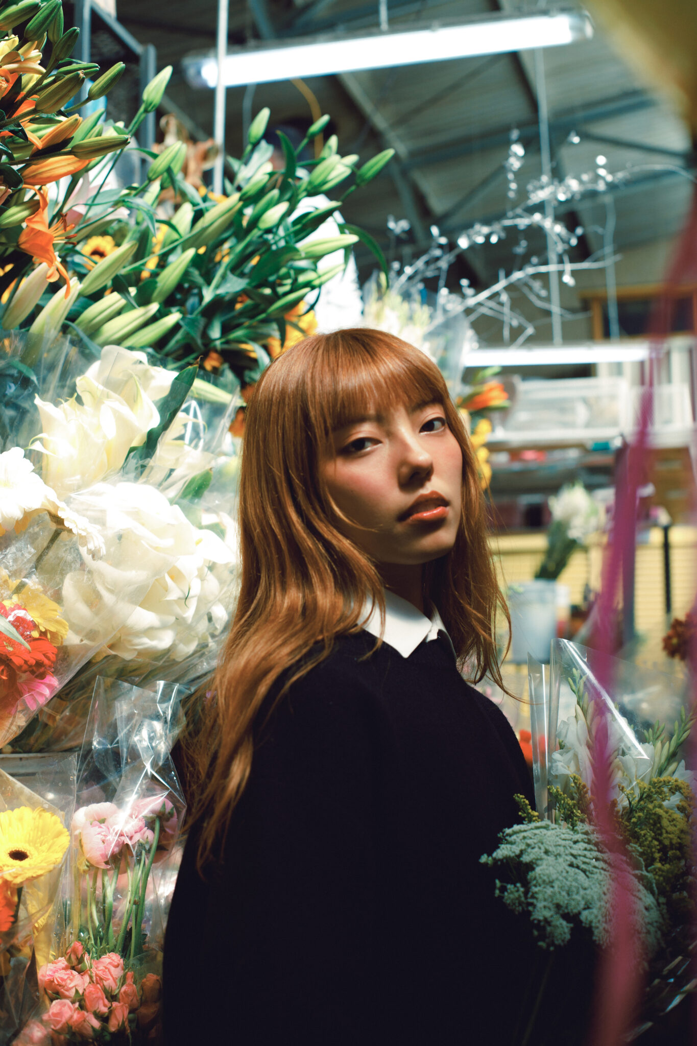 FLORA. - Maple Space