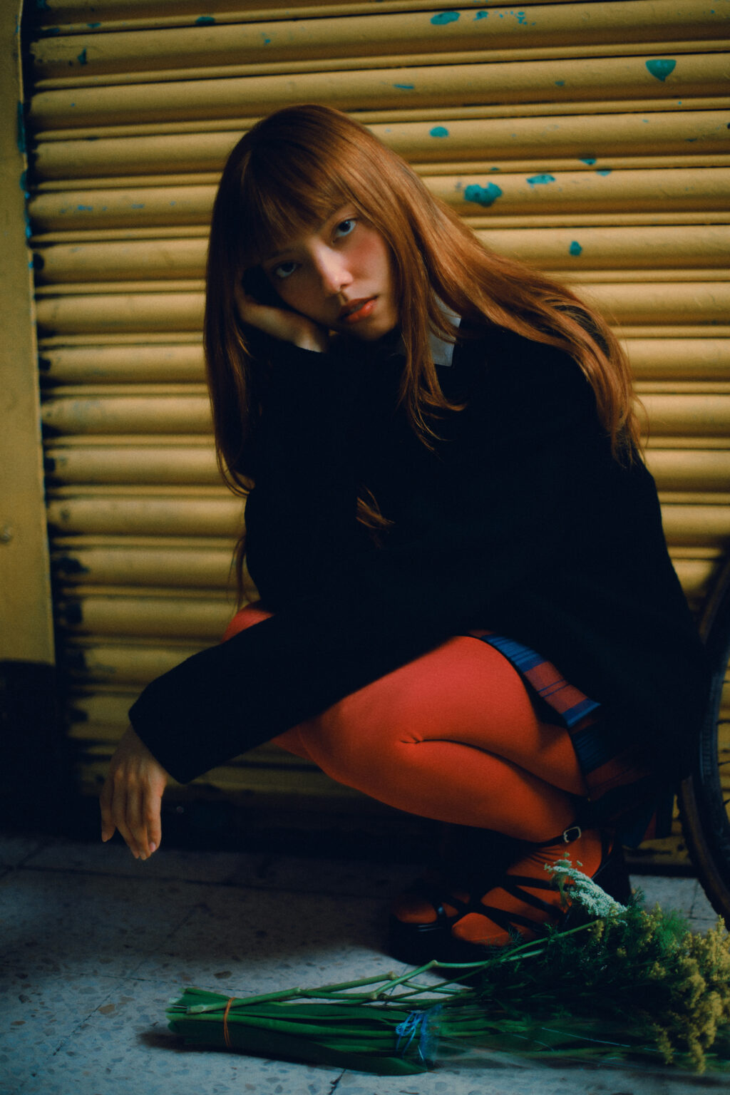 FLORA. - Maple Space