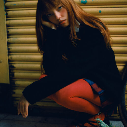 FLORA. - Maple Space